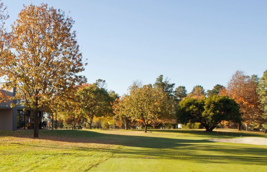 Mudgee 2024 Week of Golf - NSWVGA