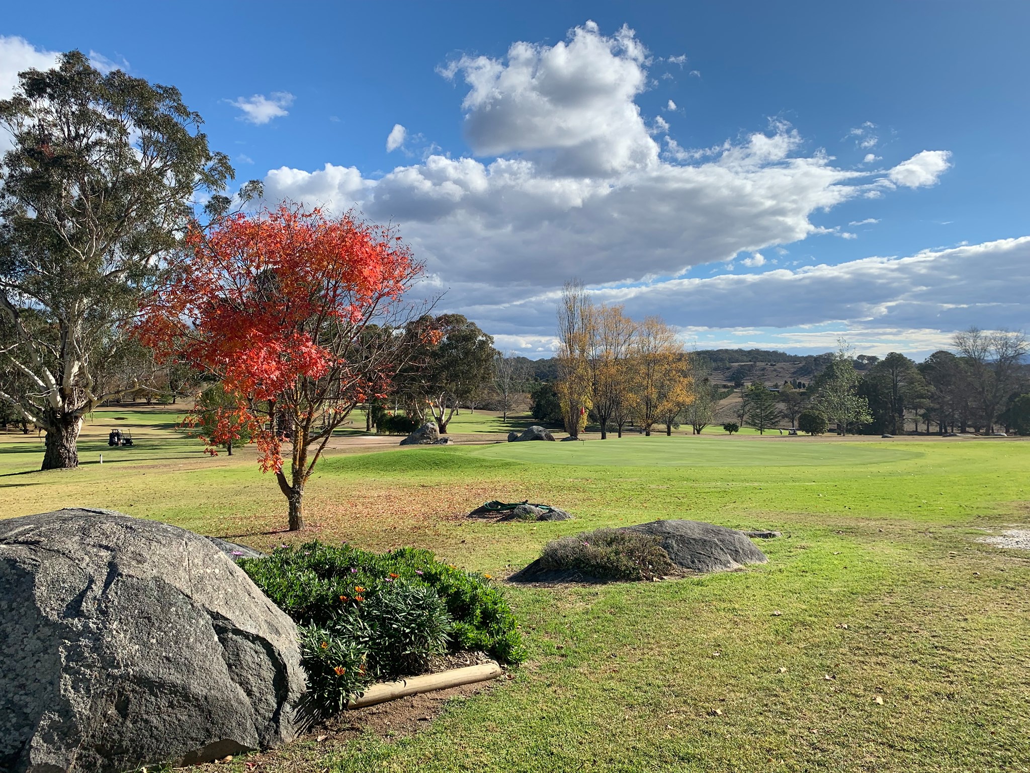Tenterfield 2022 Week of Golf - NSWVGA