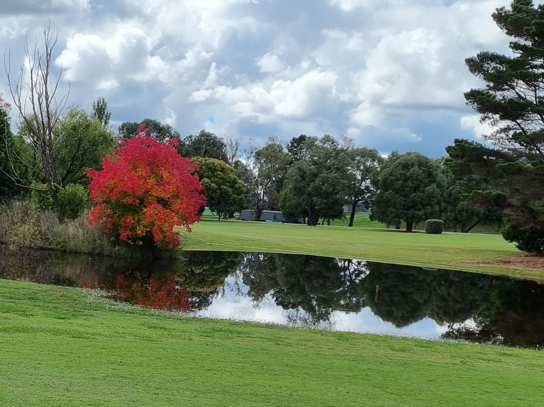 2025 NSWVGA SandGreen Championship at Walcha Golf Club - NSWVGA