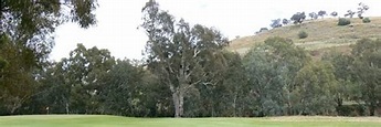 Tumut & Gundagai Week of Golf Combined - NSWVGA