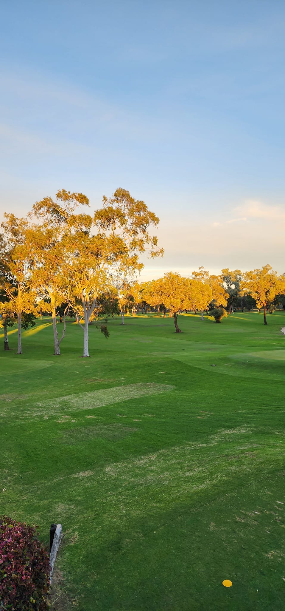 Moree 2024 Week of Golf - NSWVGA