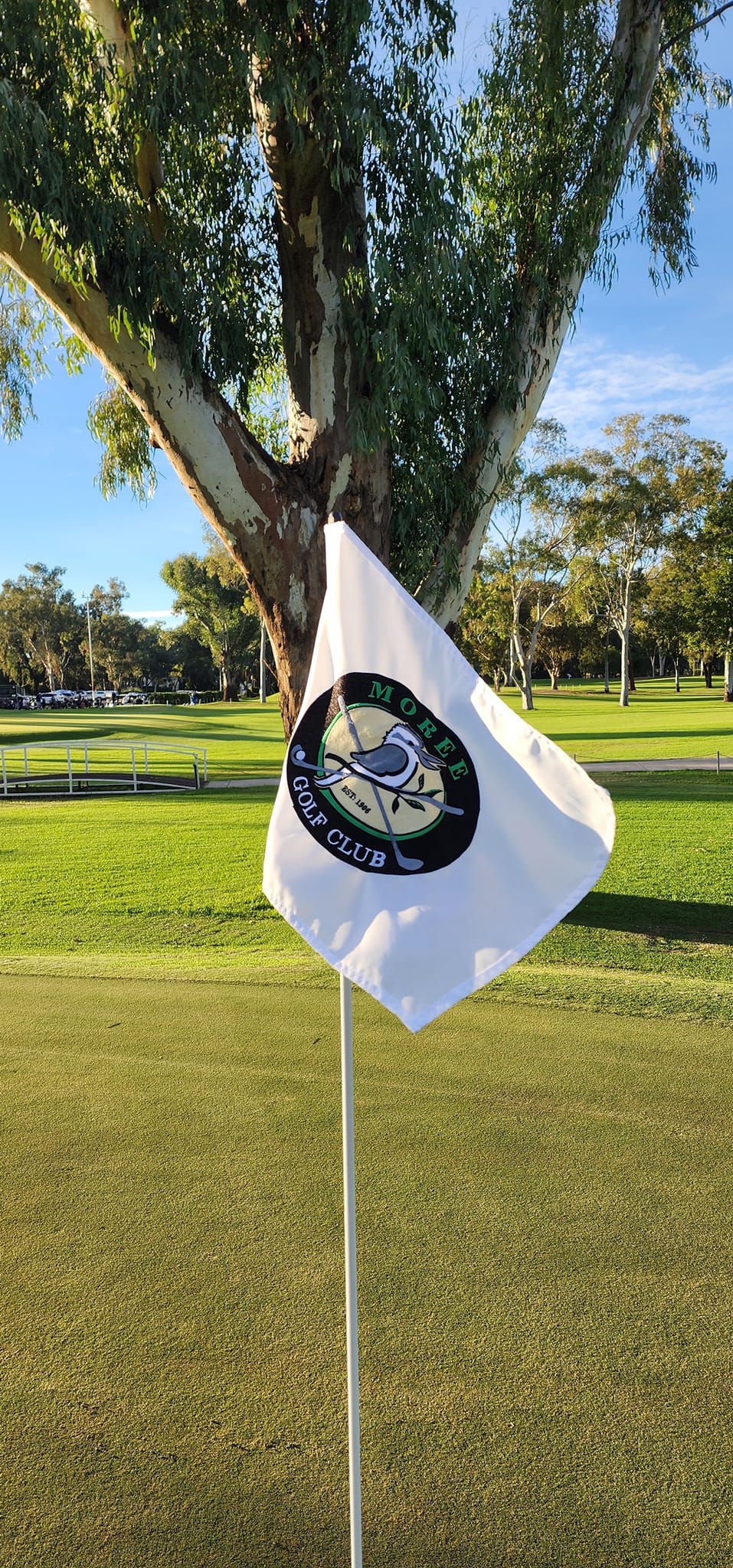 Moree 2024 Week of Golf - NSWVGA