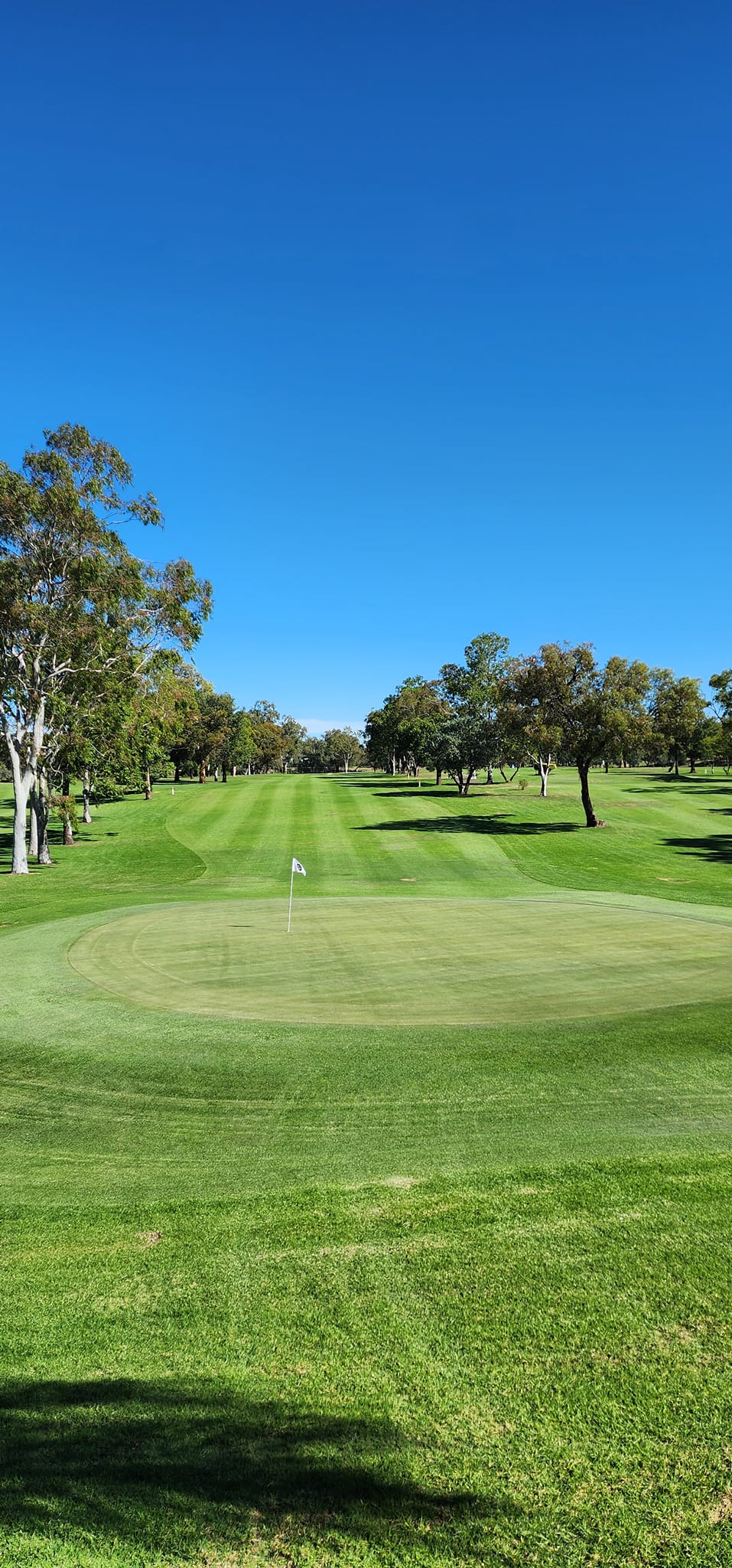 Moree 2024 Week of Golf - NSWVGA