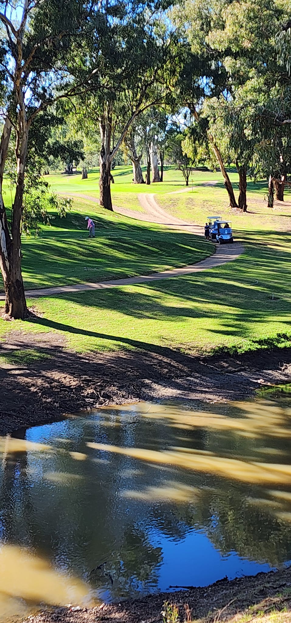 Moree 2024 Week of Golf - NSWVGA