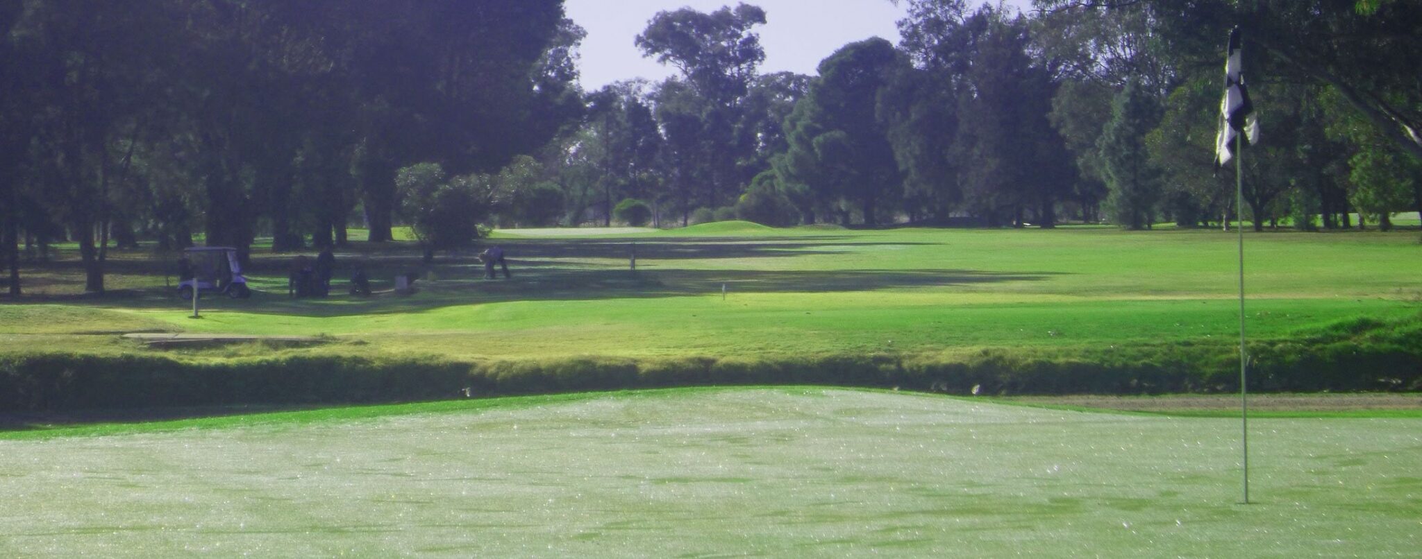 2025 Forbes Week of Golf - NSWVGA